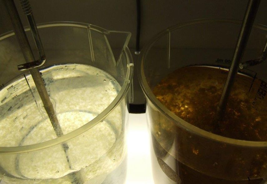 What Causes Hazy Effluent? :: Hubbard-Hall